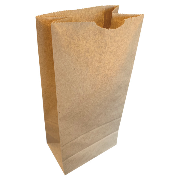 5 lb Kraft Paper Bags